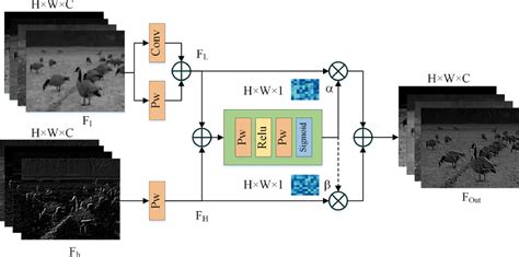 whole architecture of afm as can be seen low level features are rich