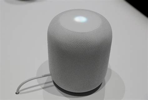 アップルもaiスピーカー 米で人気、競争激化へ 読んで見フォト 産経フォト