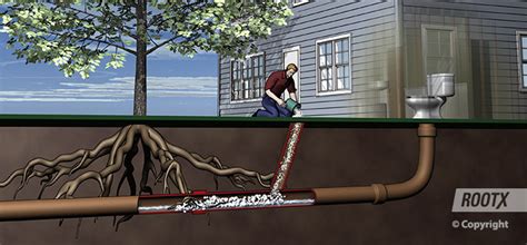 Your Root Intrusion Solution Rootx