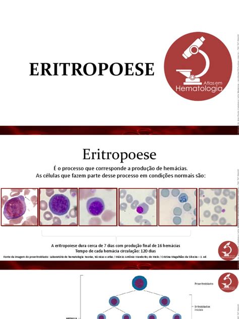Eritropoese Download Grátis Pdf Anemia Hemácia