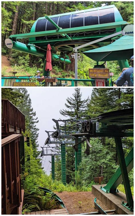 Planning A Visit To Trees Of Mystery In Klamath Ca Sunshine And