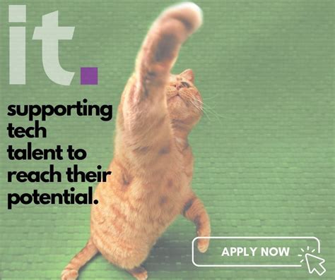 Itapprentice Techrevolution Joinourteam Talentsearch Applytoday