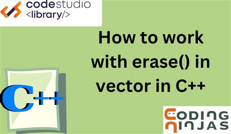 C Vector Erase Naukri Code