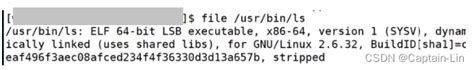 【linux初阶】环境变量 如何设置、获取环境变量？查看环境变量 Csdn博客