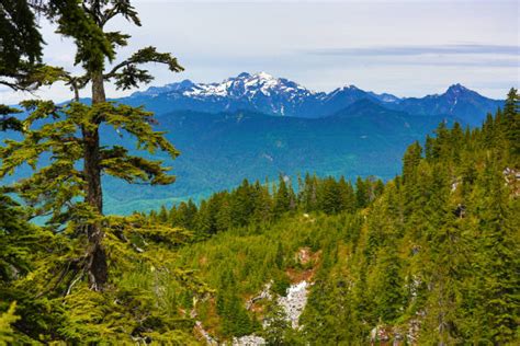 670 Bellingham Fotografías De Stock Fotos E Imágenes Libres De