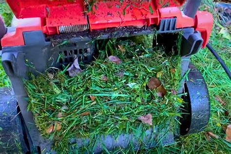 Can You Cut Wet Grass • Better Lawns And Gardens