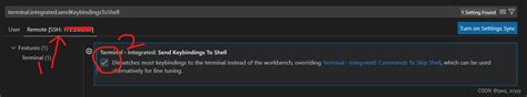Vscode如何优雅退出docker容器而不关闭它，非常有用！！docker退出不关闭容器 Csdn博客