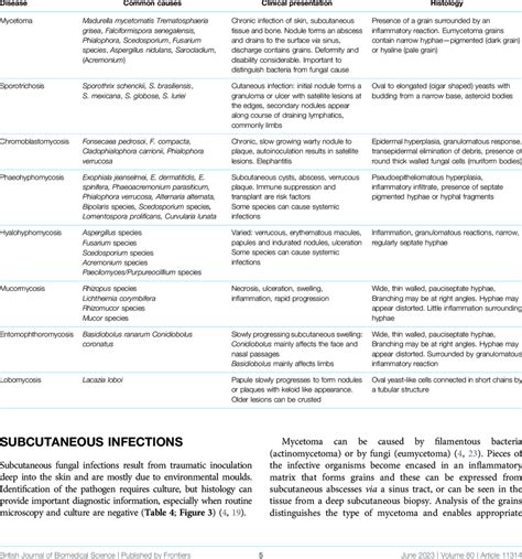 Subcutaneous Fungal Infections 4 10 15 21 22 Download