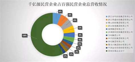 2021年浙江民营企业百强榜出炉！丽水两家入围！ 热点 丽水在线 丽水本地视频新闻综合门户网站