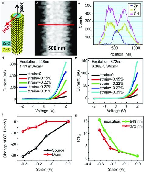 A Zno Cds Core Shell Photodetector A Schematic Diagram Of The