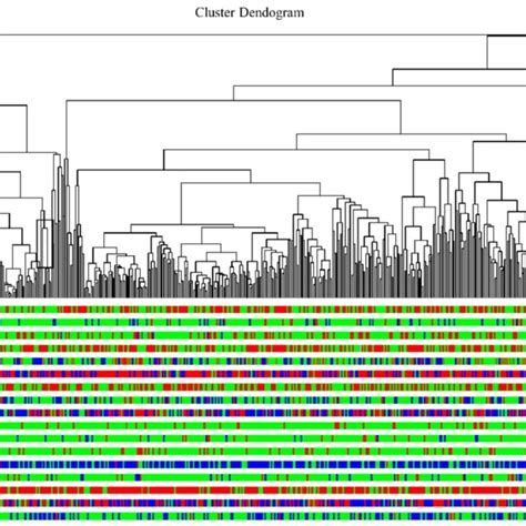 Complete Linkage Unsupervised Hierarchical Clustering Of Human Breast