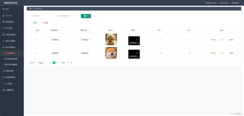 基于springboot的宠物领养系统 基于springboot的宠物认领系统 csdn博客