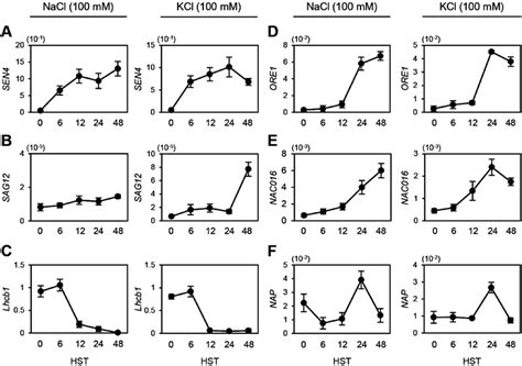 Expression Patterns Of Marker Genes For Salt Stress Induced Leaf