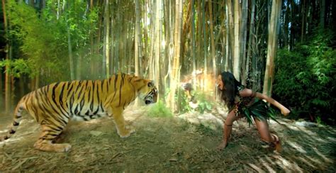 Katy Perry Roar Wallpaper WallpaperSafari