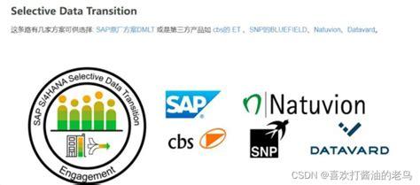 从sap ecc升级到sap s4hana 几个key points sap s4升级调研问题 csdn博客