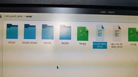 Yolov5训练出pt模型文件，转换成rknn格式并测试。yolo5 Pt文件 Csdn博客