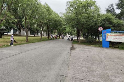 北师大平果附校｜实践砺成长 劳动最光荣 北京师范大学平果附属学校官网