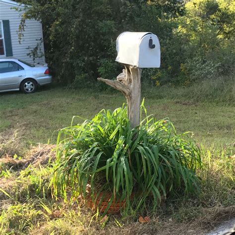 Unique Tree Stump Mailbox