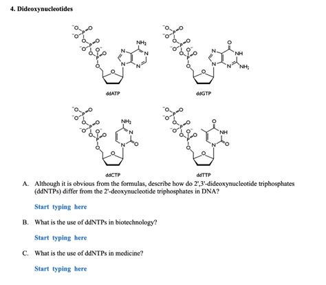 Solved 4 Dideoxynucleotides Nh2 N Nh N Nh Cory Ddatp Ddgtp