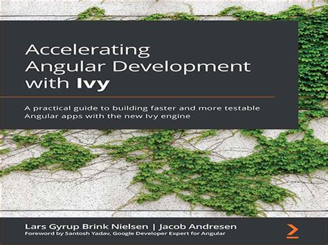دانلود کتاب تسریع توسعه Angular با Ivy مجله علمی تفریحی بیبیس