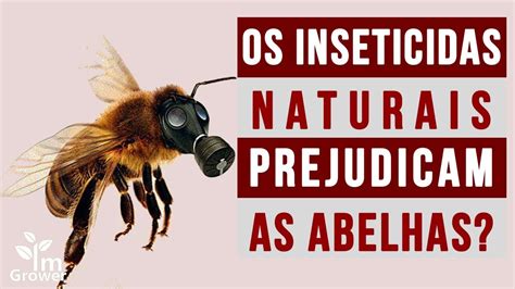 Os Inseticidas Naturais Prejudicam As Abelhas Youtube