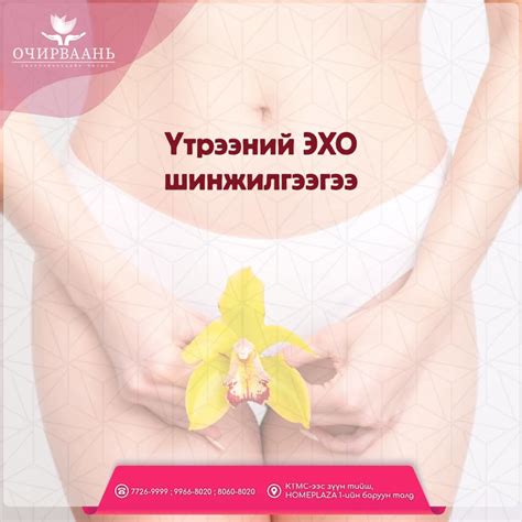 Очирваань Эмнэлэг Эмэгтэйчүүд 👩‍⚕️Үтрээний эхо шинжилгээгээр Умайн байрлал Умайн хэлбэр