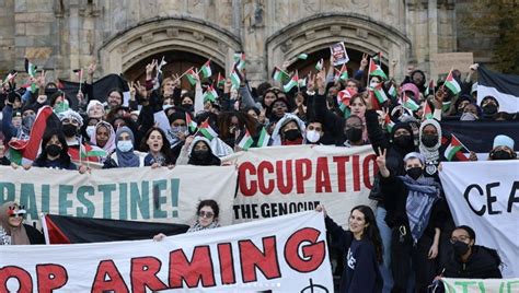 Harvard Selects Pro Palestine Professor To Co Chair New Task Force On