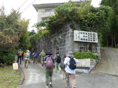 森林セラピーウォーキングデー イベント 公式福岡県の観光 旅行情報サイトクロスロードふくおか