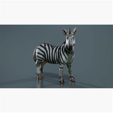 Zebra Toy 3d Model Download Hobbies On