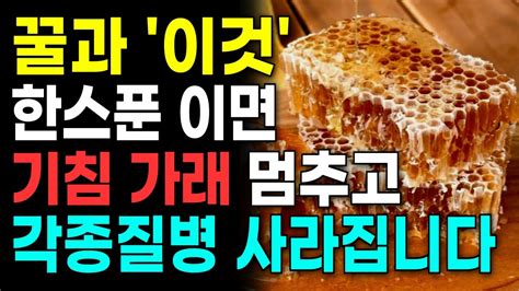 값비싼 영양제 대신 이것 드세요 기침 가래 염증 각종 질병 싹 사라집니다 꿀과 함께 먹으면 보약보다 좋은 음식 4