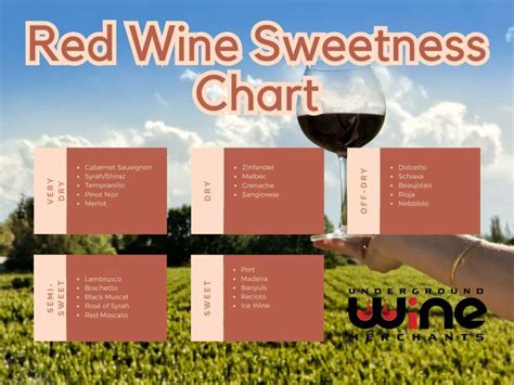 Red Wine Sweetness Chart Unveiling The Spectrum Of Flavors