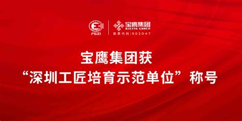 宝鹰动态