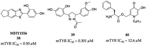 Molecules Free Full Text Tyrosinase Inhibitors A Perspective