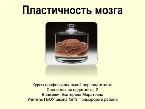 Пластичность мозга - презентация онлайн