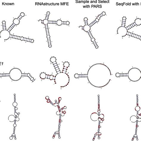 Comparison Of The Robustness Of Rna Secondary Structure Prediction
