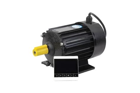 brushless variable frequency motor with synchronous pm motor capability