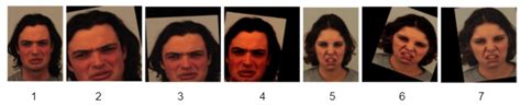 Data Augmentation Examples For Disgust Class Download Scientific Diagram