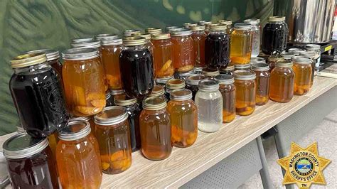 Tennessee Man Accused Of Running Illegal Moonshine Operation Deputies
