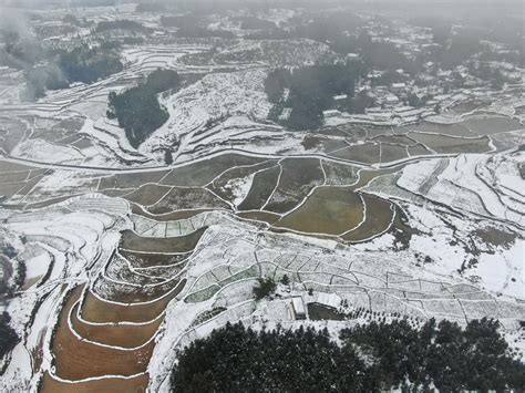 农业种植素材 农业种植模板 农业种植图片免费下载 设图网