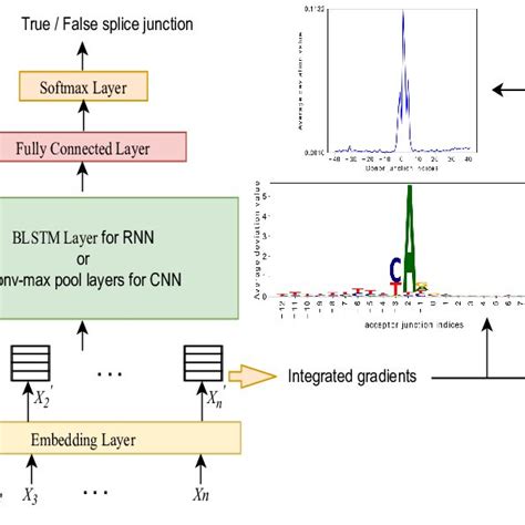 Graphical Representation Of The Workflow Download Scientific Diagram