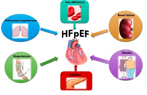 Figure 1 From Treatment Of Hfpef Beyond The Sglt2 Is Does The Addition