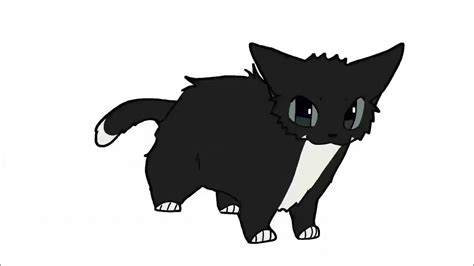 Maxwell Cat Youtube
