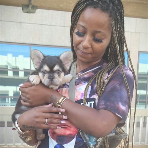 Our Sweet Alizé Has Gone To Her New Fluffyfrenchies4u