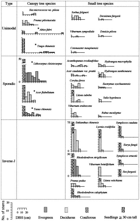 dbh class frequency distribution for the 33 species dominant species