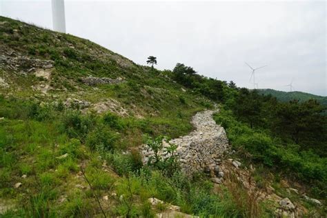 生态环境案件“环境有价，损害担责”荆楚号荆楚网湖北日报网