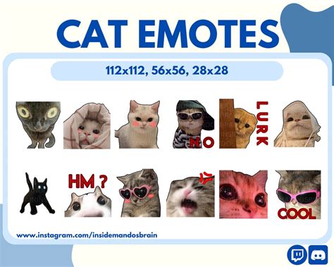 Cat Emotes Twitch Discord Emotes Pack Cute Kawaii Cat Meme Emotes Etsy