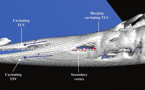 12 Liutex Vector Field For Cavitating Tip Vortices Iso Surface Of R