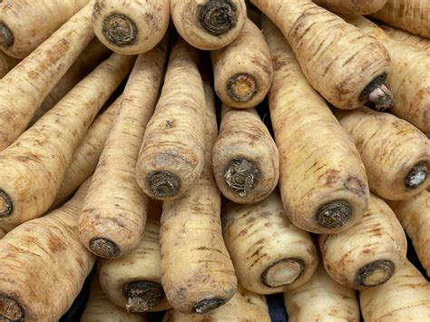 Parsnip Growing Guide Seed To Harvest Cropnerd