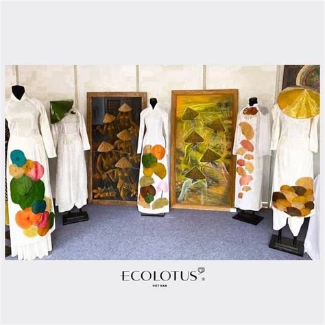 Ecolotus Ý NghĨa TẶng QuÀ Hoa Sen Trong VĂn HÓa ViỆt Ecolotus