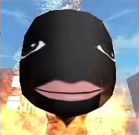 Roblox Funny Pfp Lustige Bilder Lustig